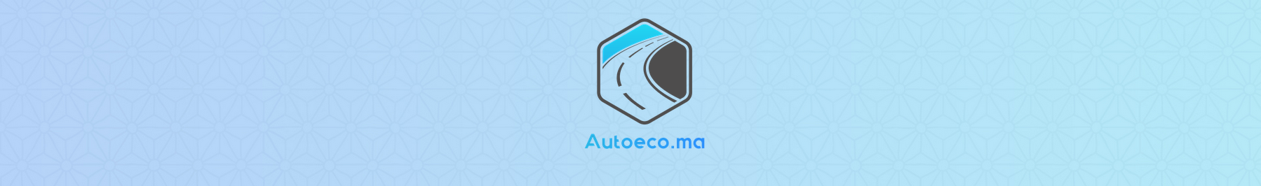 AutoEco - Gestion Des Auto-Ecoles